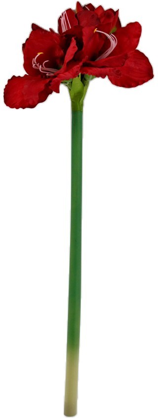 ΤΕΧΝΗΤΟ ΛΟΥΛΟΥΔΙ AMARYLLIS ΚΟΚΚΙΝΟ Υ75cm - ΔΙΑΚΟΣΜΗΤΙΚΑ ΕΙΔΗ ΣΠΙΤΙΟΥ ...
